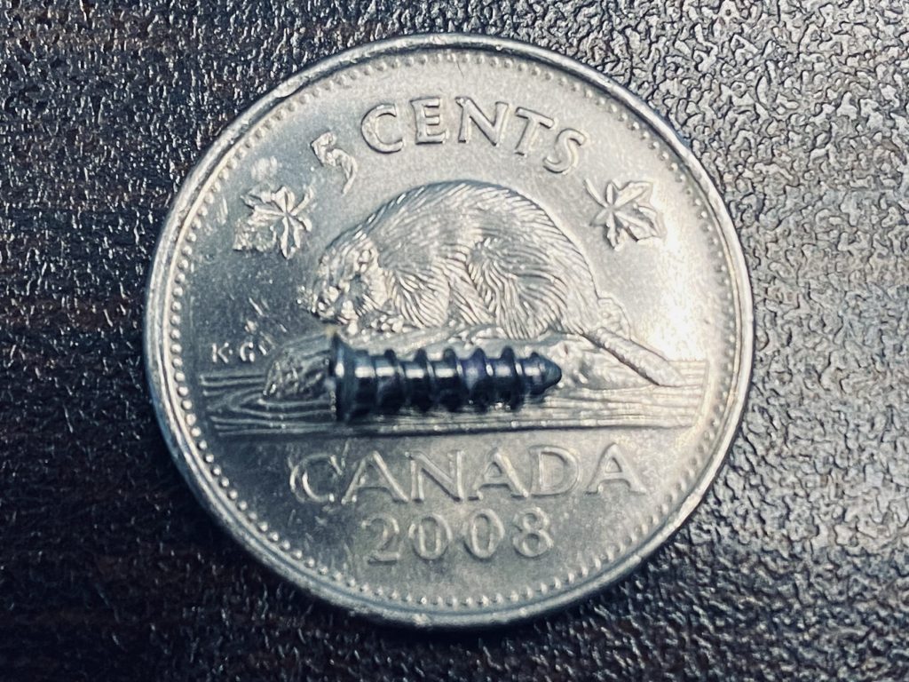 Face and Skull Implant Screw Size Compared To Canadian Coins - Explore ...