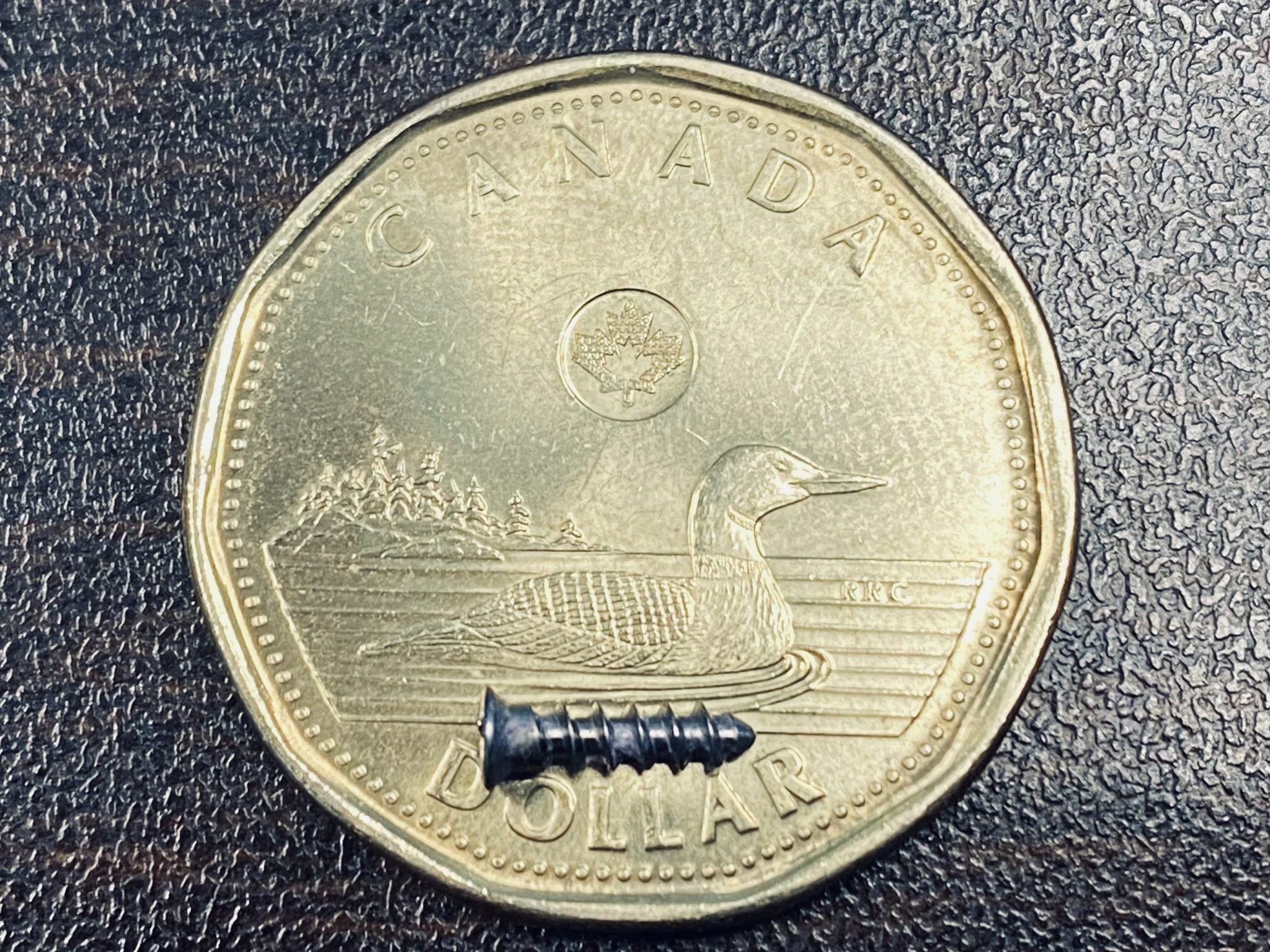 Face and Skull Implant Screw Size Compared To Canadian Coins - Explore ...