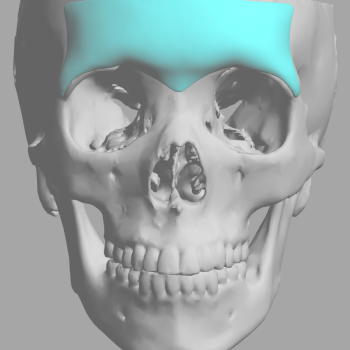 Explore Plastic Surgery – Dr. Barry Eppley – Plastic Surgeon