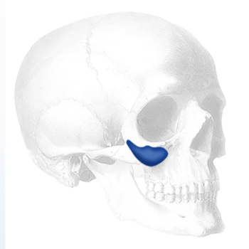 cheek implants Archives - Explore Plastic Surgery