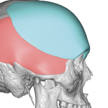 Blog - Page 6 of 583 - Explore Plastic Surgery