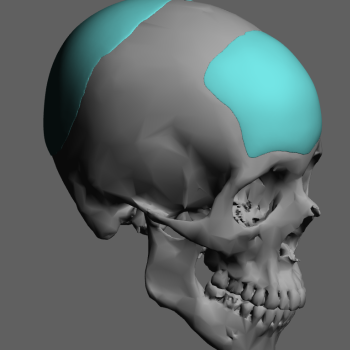 skull reshaping Archives - Explore Plastic Surgery